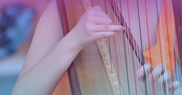 Learn Harp Online with Muzeg - Discover Your Musical Potential | EduRoy ...